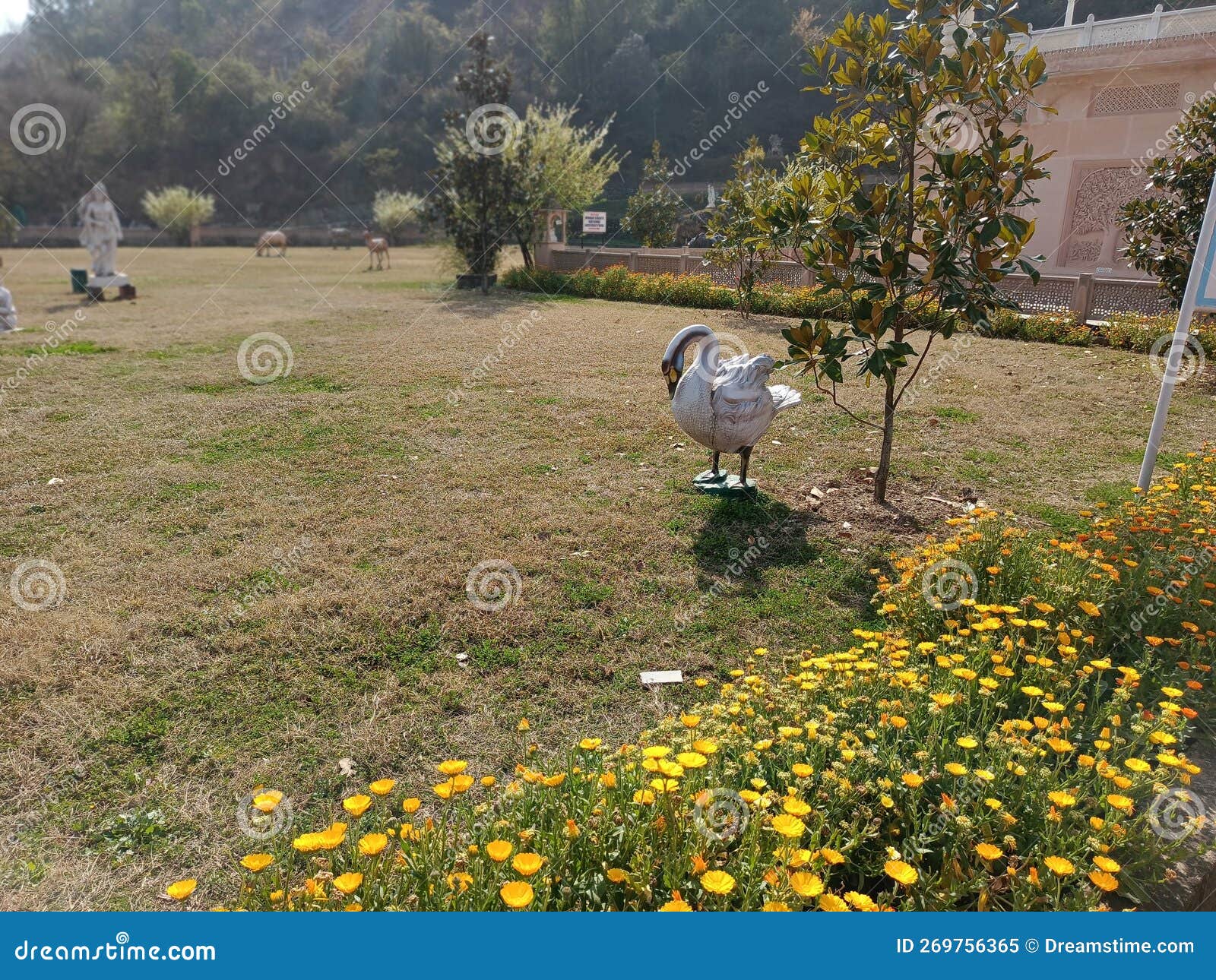 Netural beauty parlour stock image. Image of autumn - 269756365