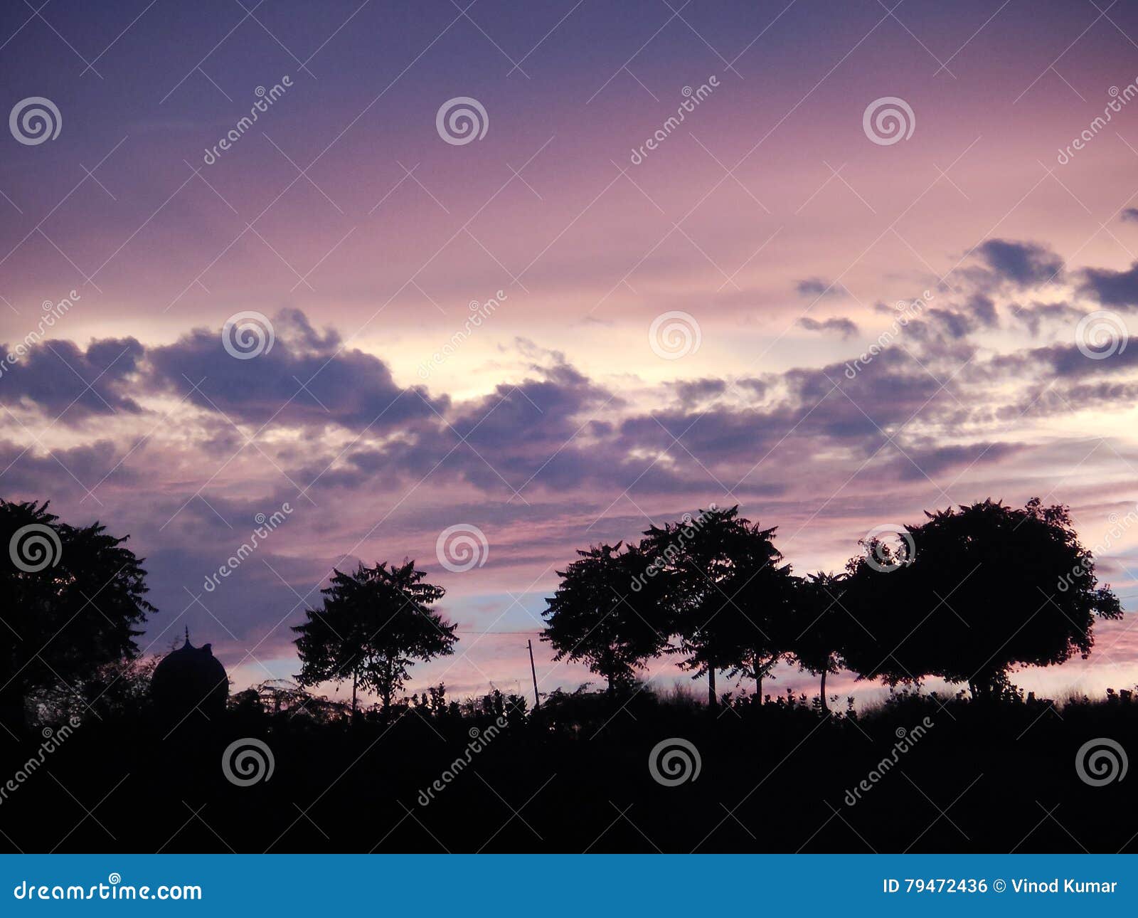 Netural stock photo. Image of dawn, daytime, tree, nice - 79472436