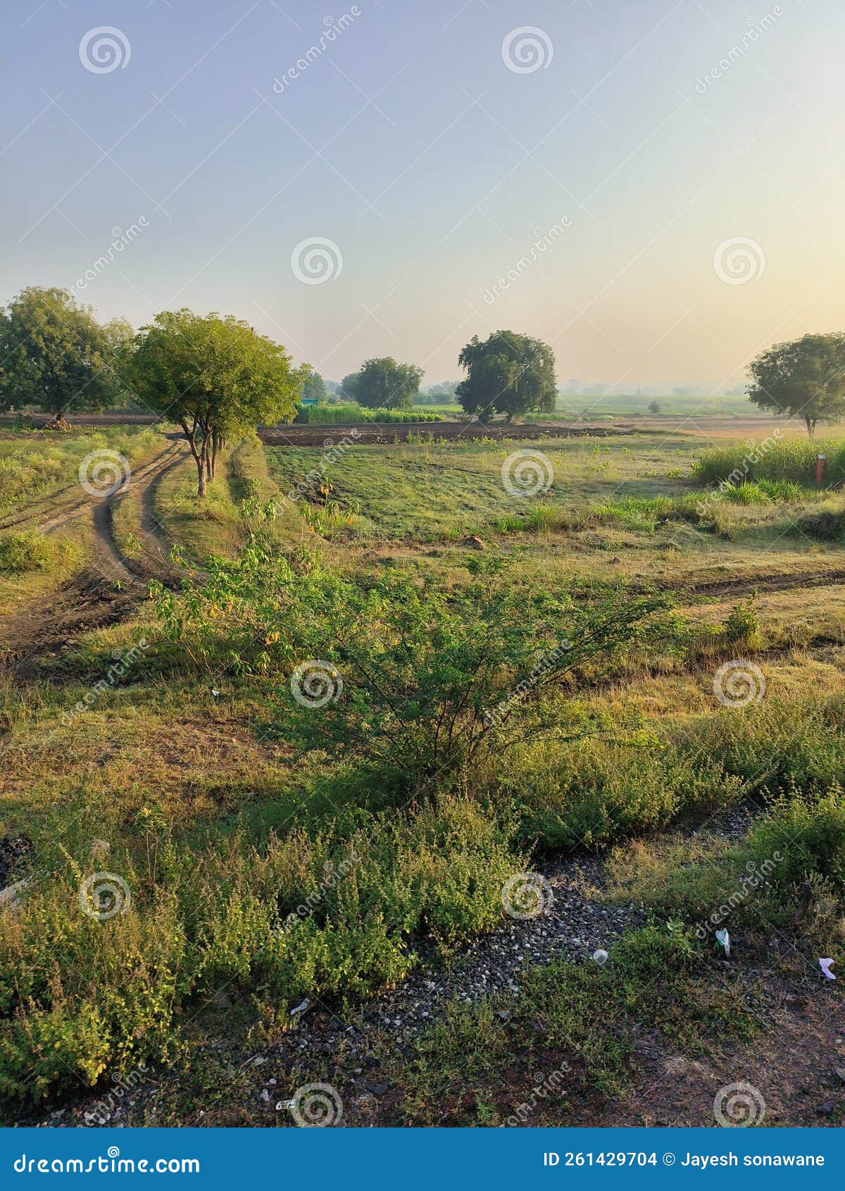 Netural nature stock photo. Image of nature, indian - 261429704