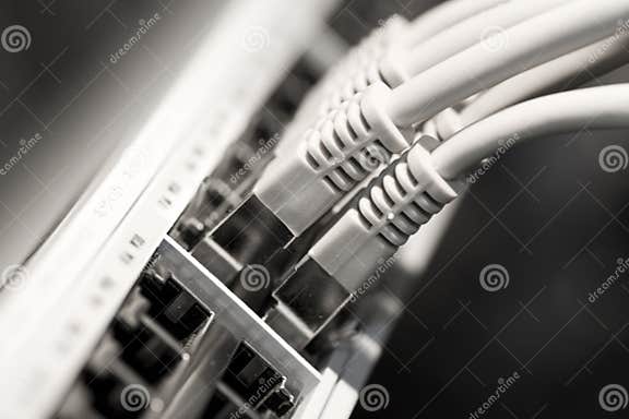 Network stock photo. Image of wired, jack, rj45, switch - 10137252