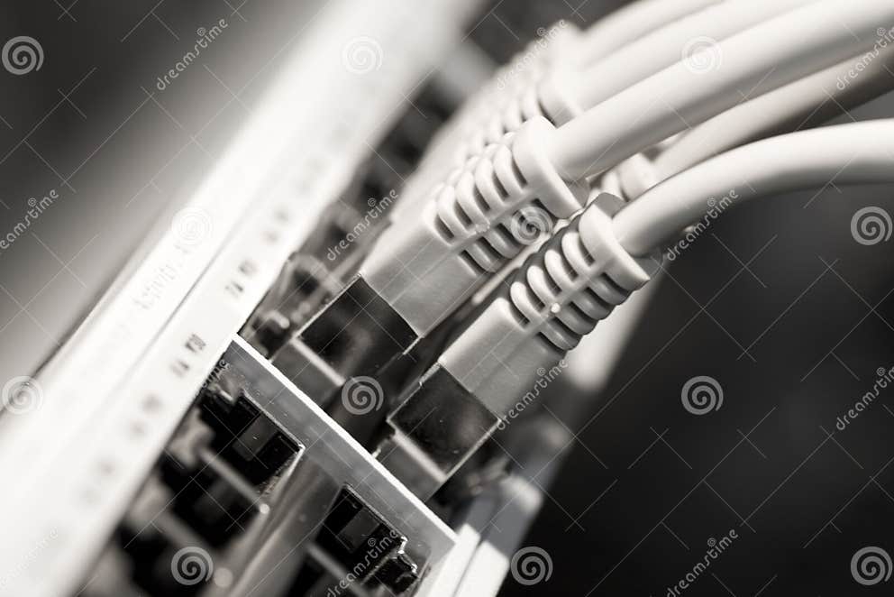 Network stock photo. Image of wired, jack, rj45, switch - 10137252