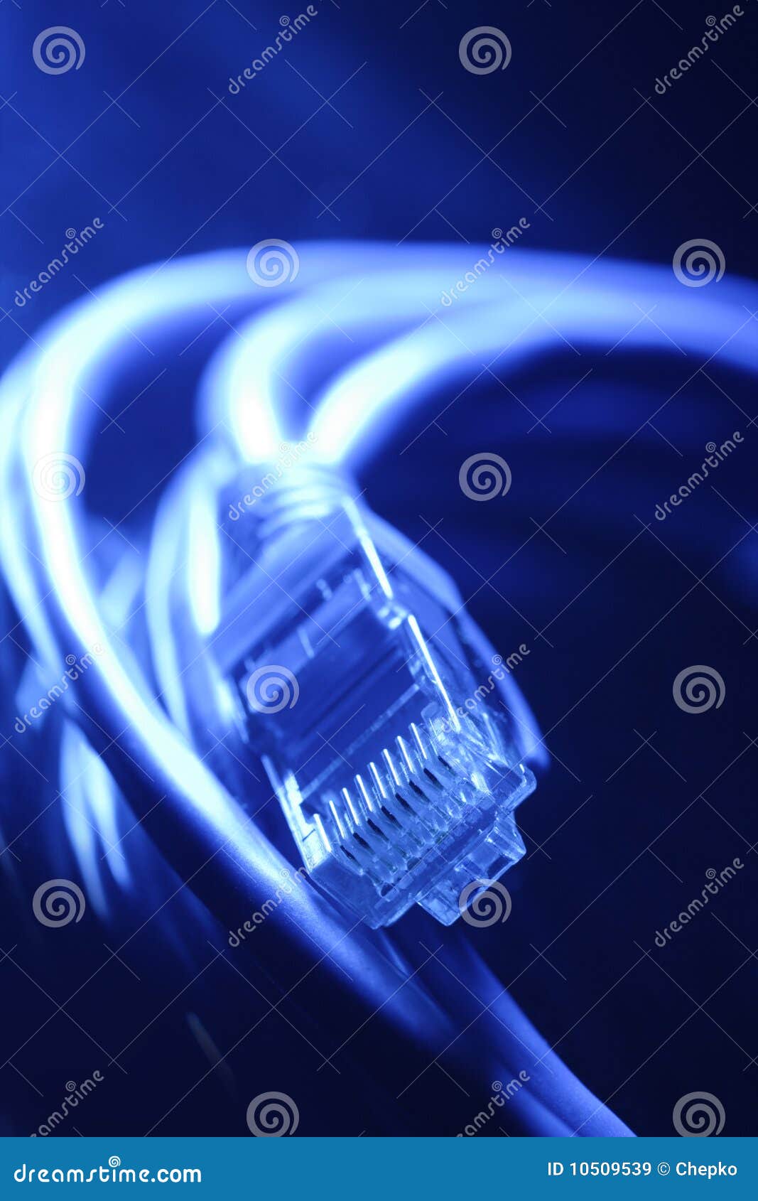 Network cable stock image. Image of data, global, electricity - 10509539