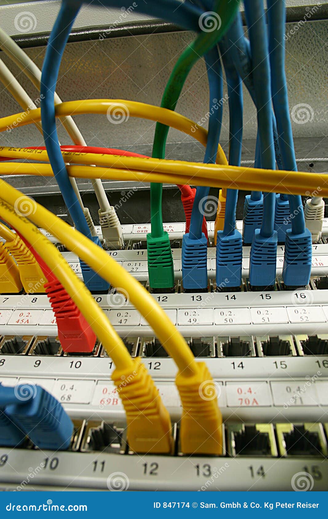 Network cable stock photo. Image of internet, networking - 847174