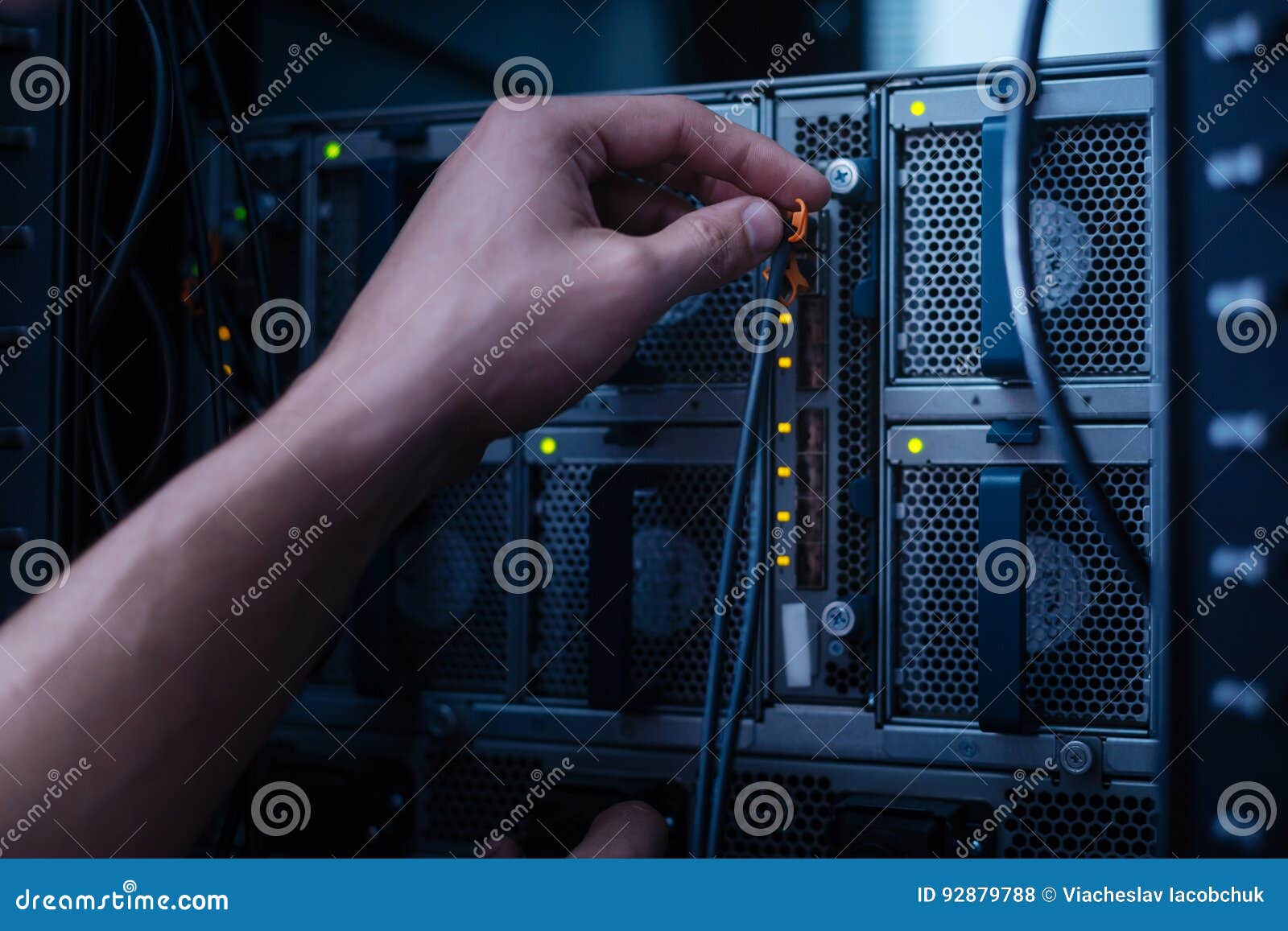 Network Cable Being Connected To the Data Server Stock Photo - Image of ...