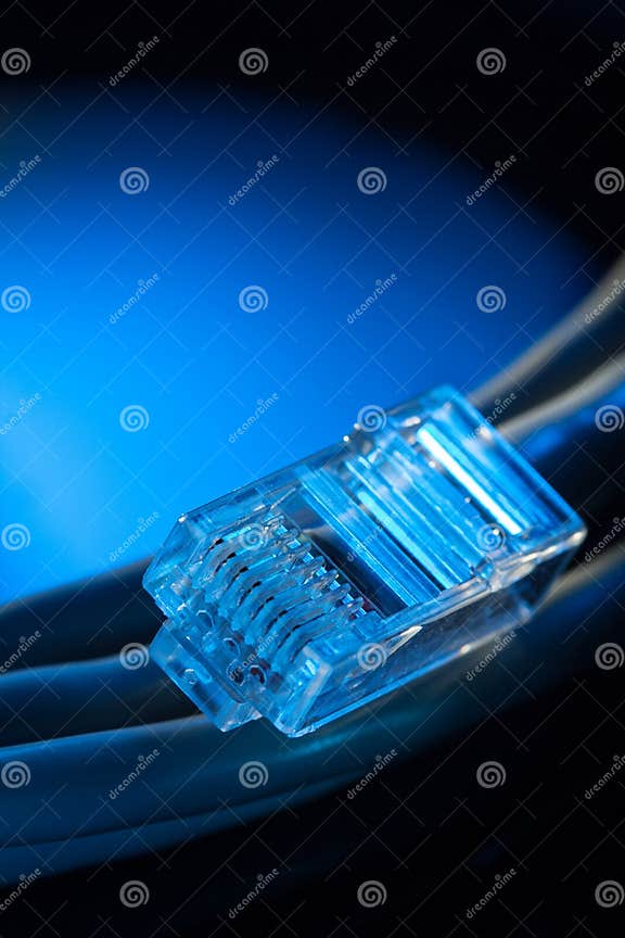 Network cable stock photo. Image of single, macro, cable - 60424300