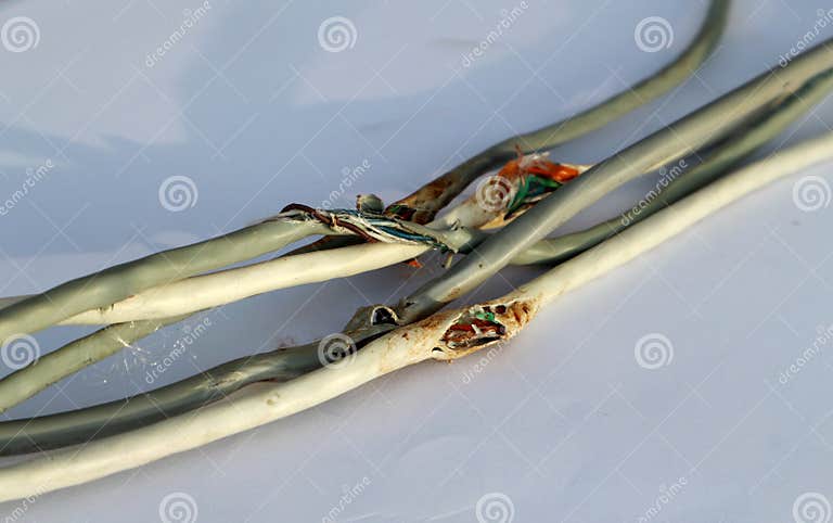 Network Cable is Broken. Closeup Shot of a Broken UTP Ethernet Cable ...