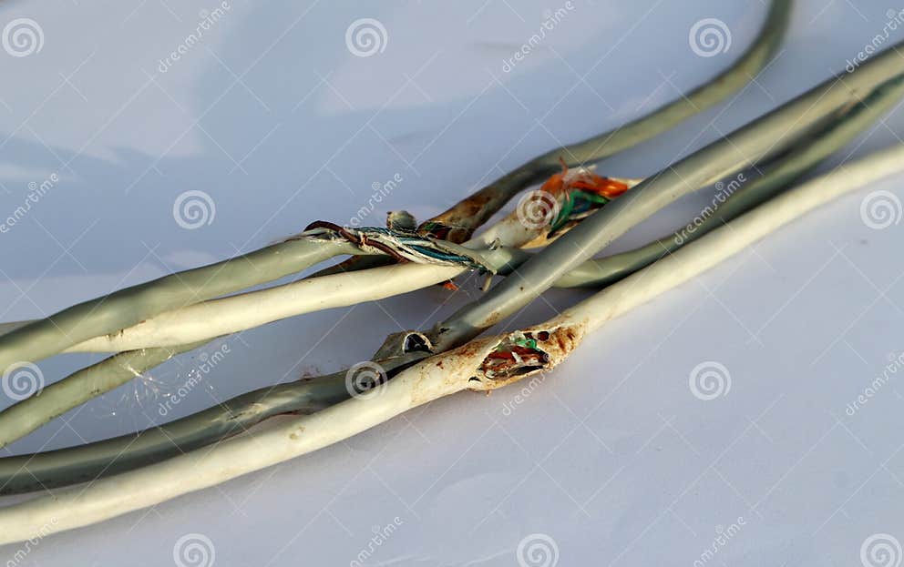 Network Cable is Broken. Closeup Shot of a Broken UTP Ethernet Cable ...