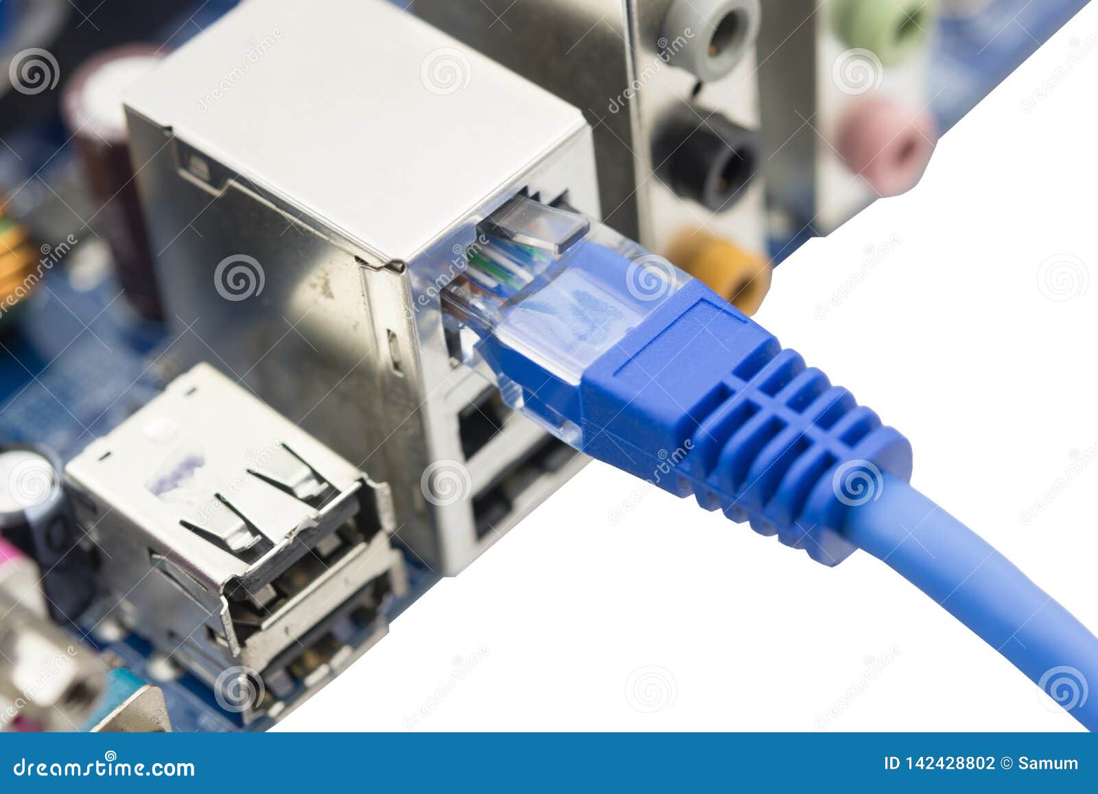 Network Cable is Connected To Computer Stock Photo - Image of closeup ...