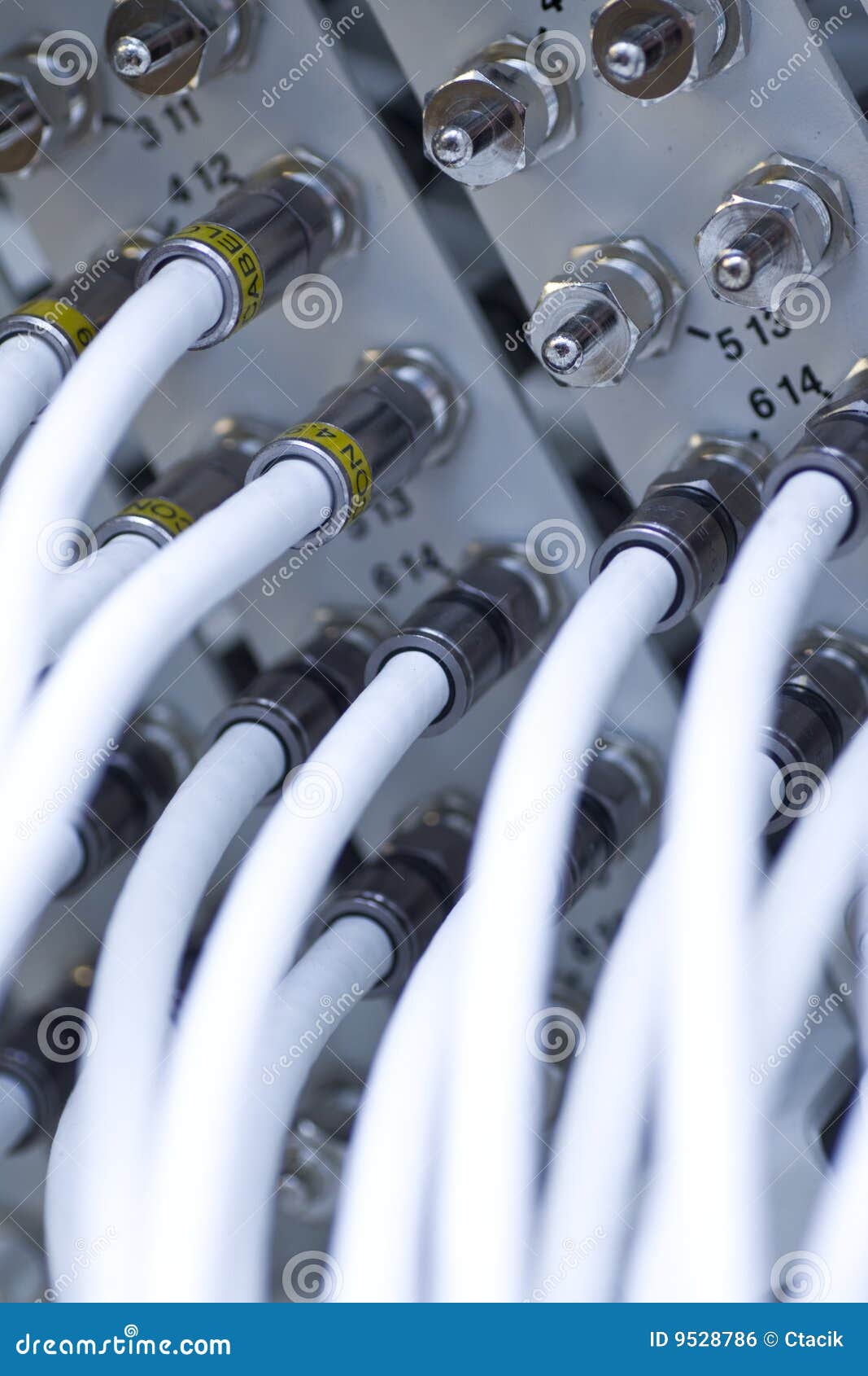 Network Cable Connected To a Switch Stock Photo - Image of connections ...