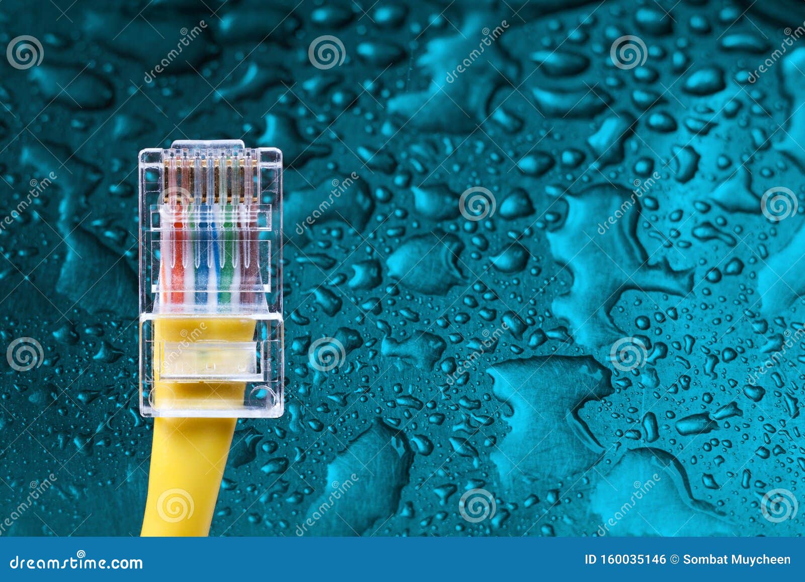 Network Cable Connector, LAN Cable, Home Internet Router With Blue RJ45 ...