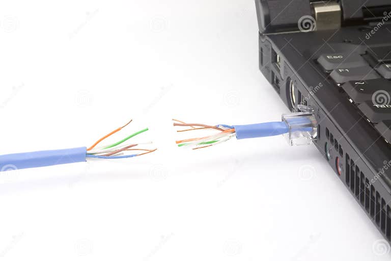 Network cable cut off stock photo. Image of internet, laptop - 1327604