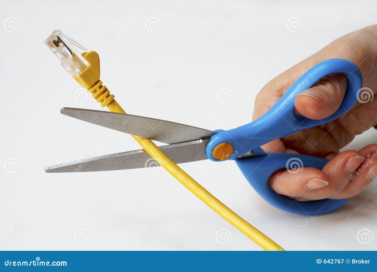 Network cable cutting stock image. Image of card, cable - 642767