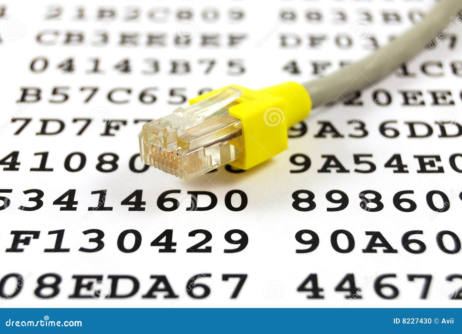 Network Cable and Encryption Key Stock Photo - Image of password ...