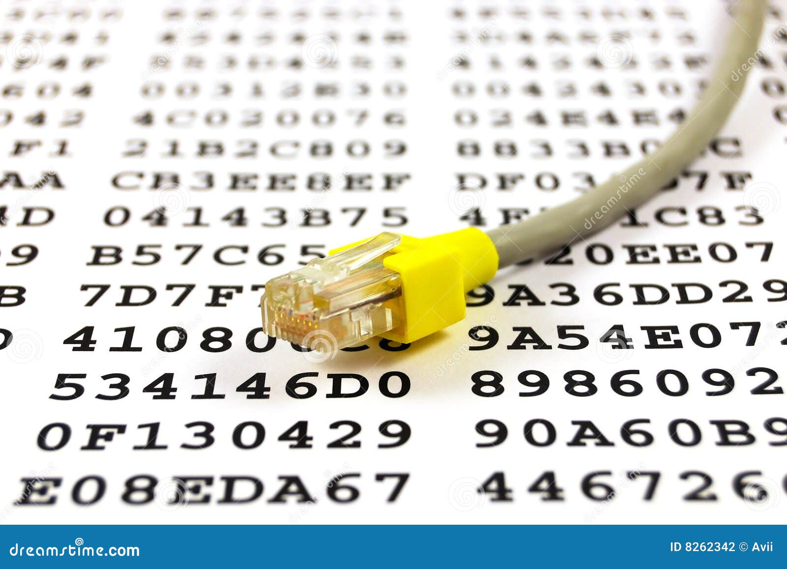 Network Cable and Encryption Key Stock Photo - Image of defend ...