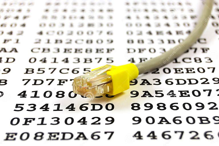 Network Cable and Encryption Key Stock Photo - Image of defend ...
