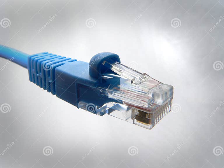 Network Cable End stock photo. Image of tech, business - 337058