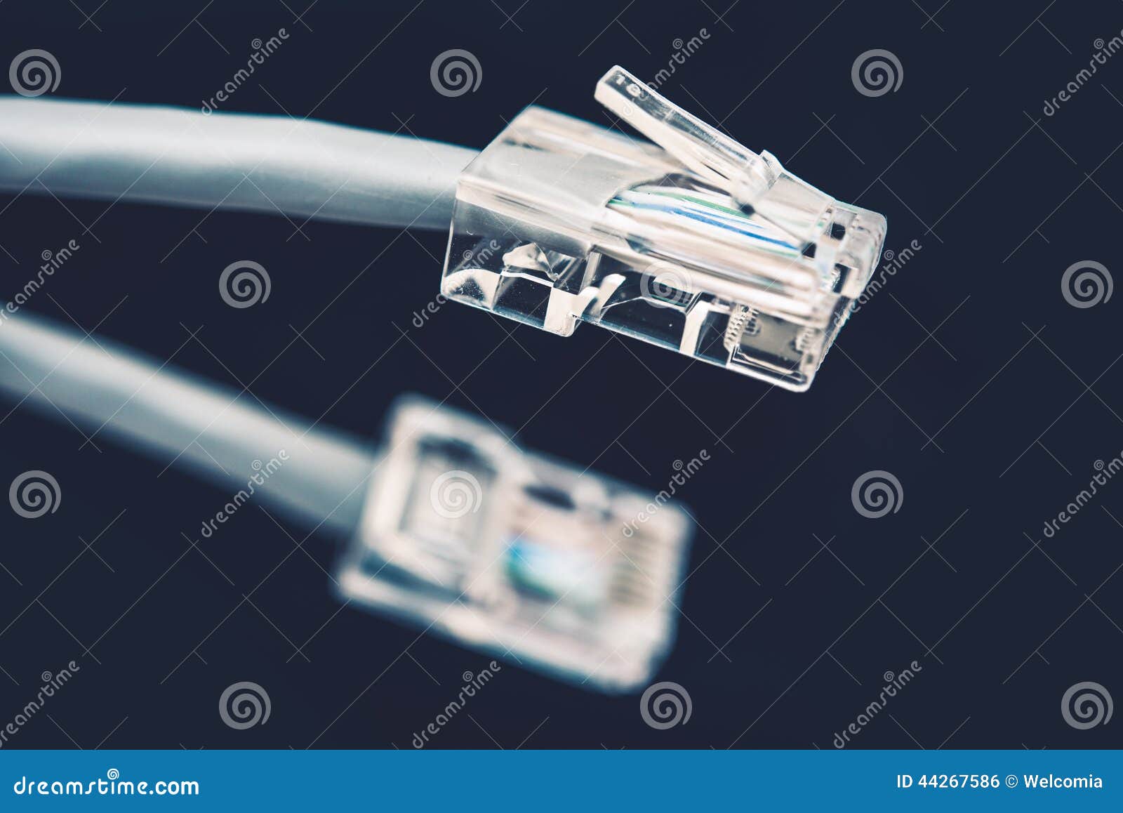 Network Cable Grey Cord stock photo. Image of connection - 44267586