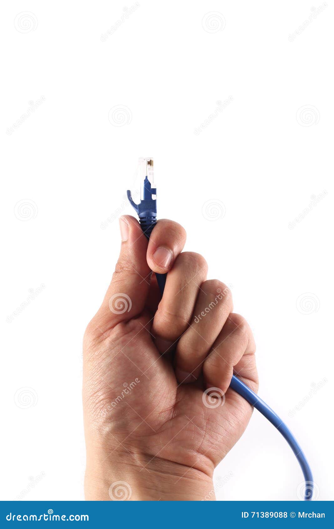 Network Cable in Hand stock photo. Image of holding, plug - 71389088