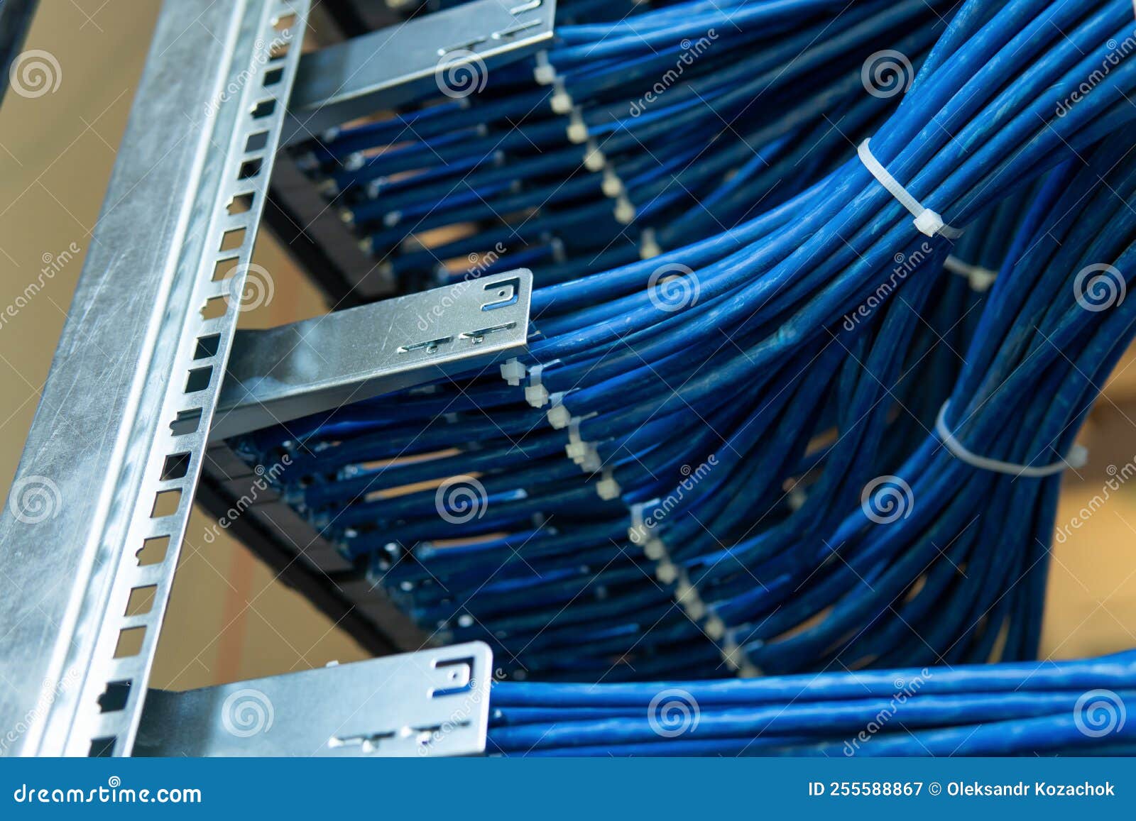 Network Cable on a Network HUB. Lan Cable Management Stock Image ...