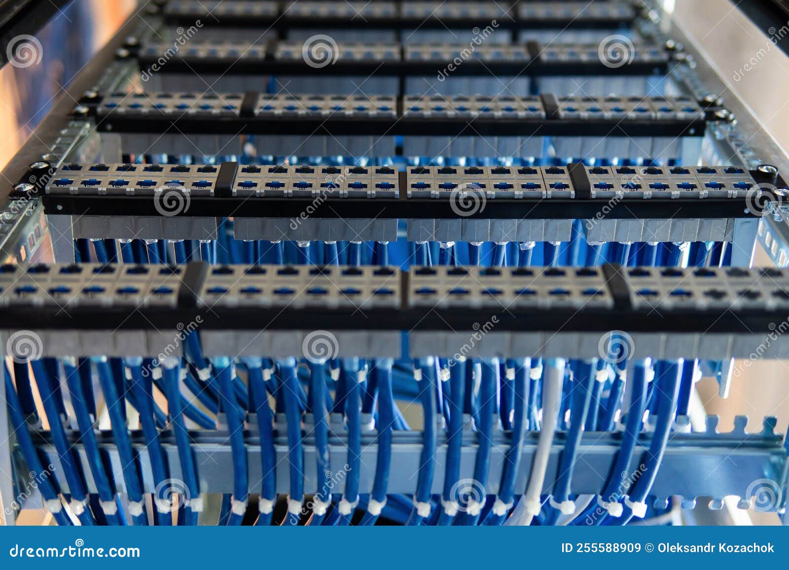 Network Cable on a Network HUB. Lan Cable Management Stock Image ...