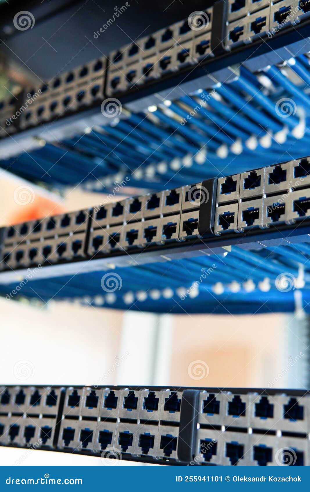 Network Cable on a Network HUB. Lan Cable Management Stock Image ...