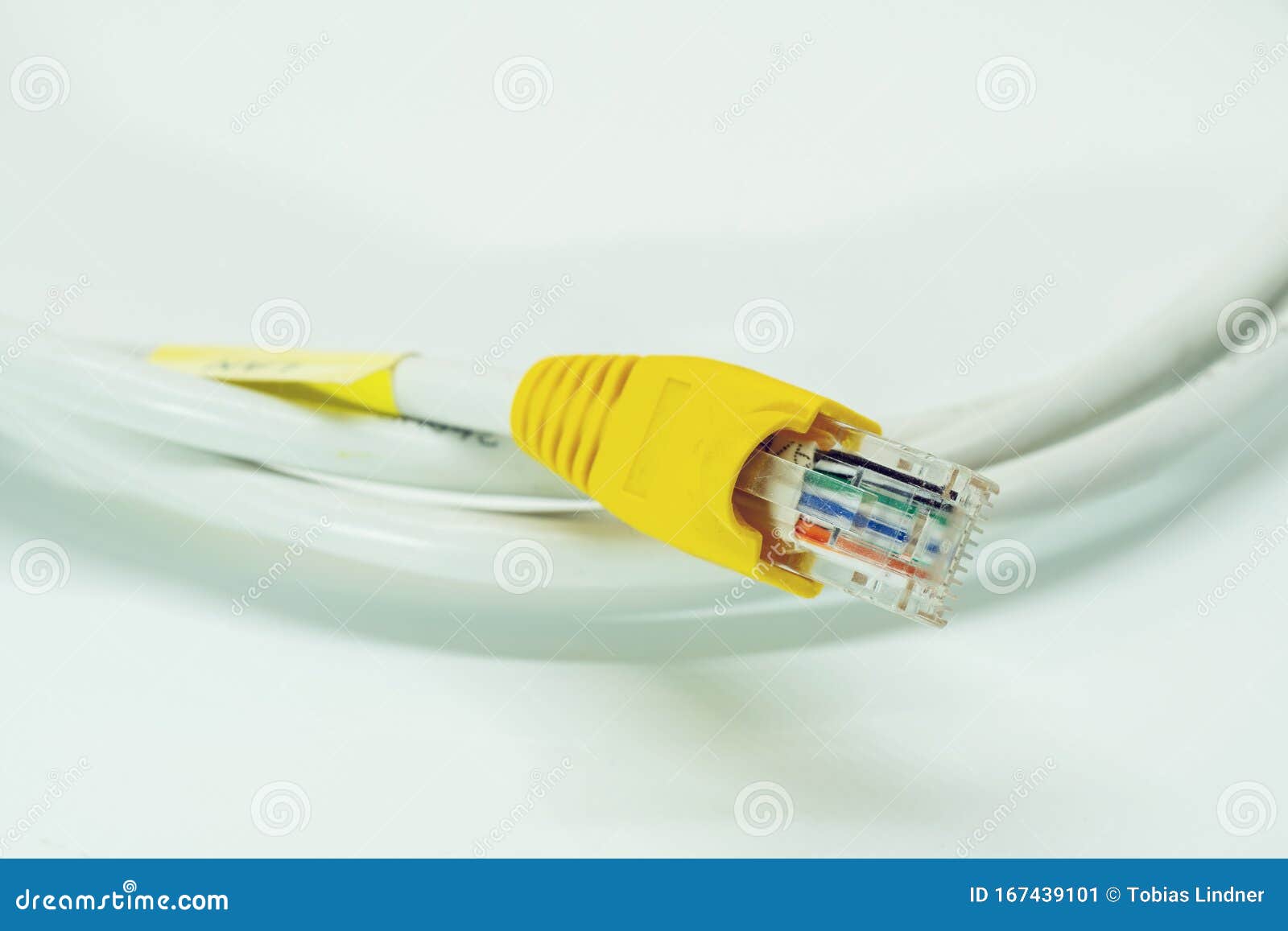 Network Cable Isolated on White Background Stock Image - Image of ...
