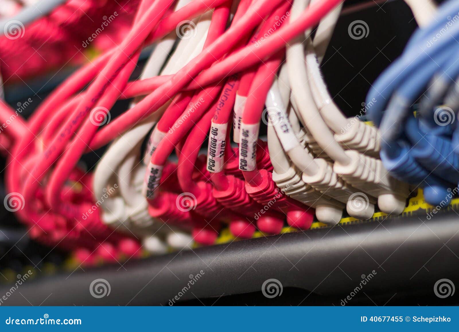 Network cable stock image. Image of installation, corporations - 40677455