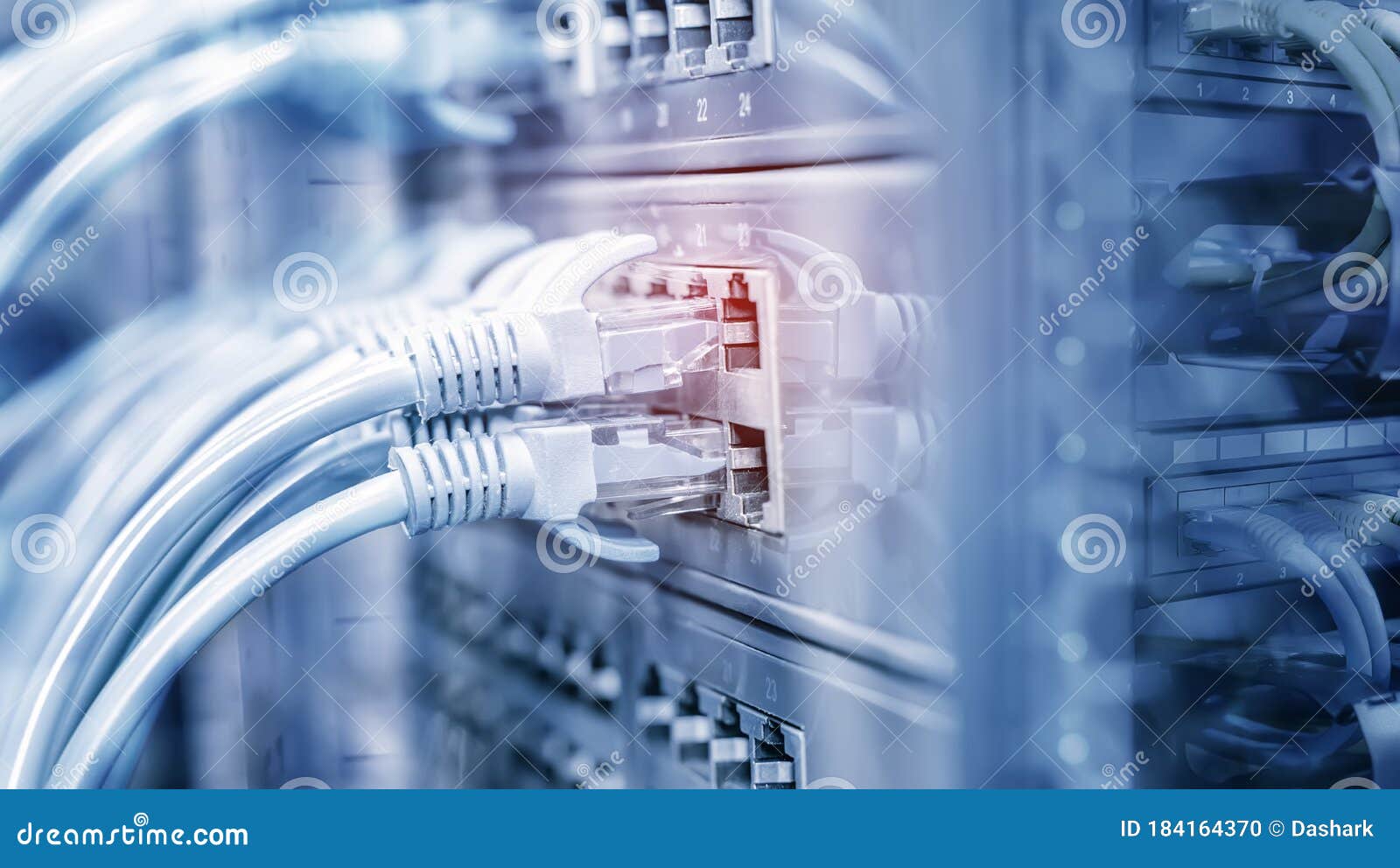 Network cable panel stock photo. Image of information - 184164370