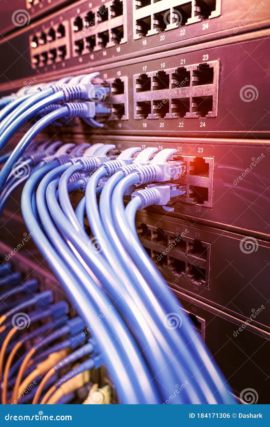 Network cable panel stock photo. Image of digital, industry - 184171306
