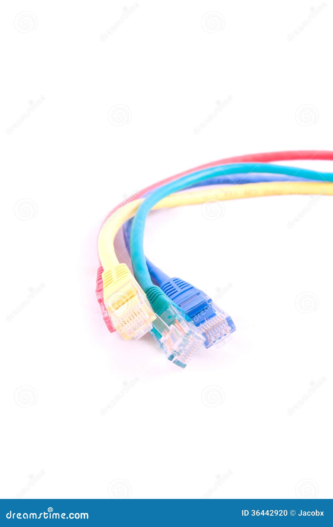 Network cable - patch-cord stock photo. Image of switch - 36442920