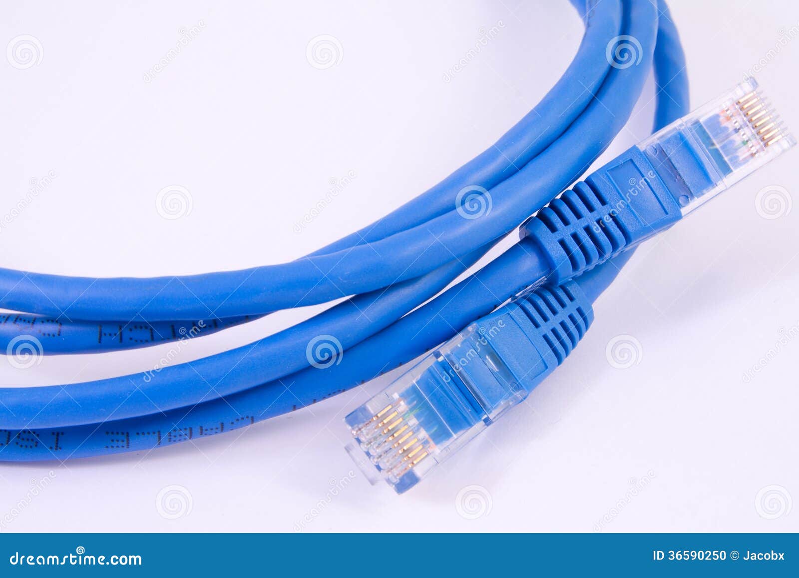 Network cable - patch-cord stock photo. Image of cat5 - 36590250