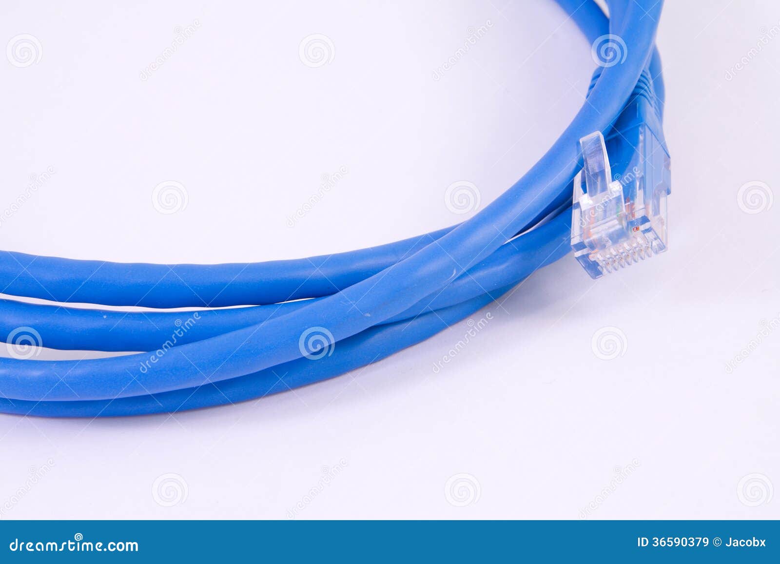 Network cable - patch-cord stock image. Image of computer - 36590379