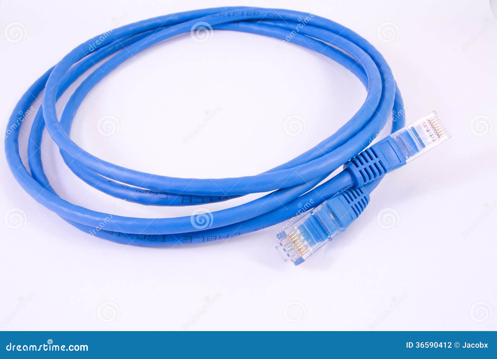 Network cable - patch-cord stock photo. Image of cat6 - 36590412