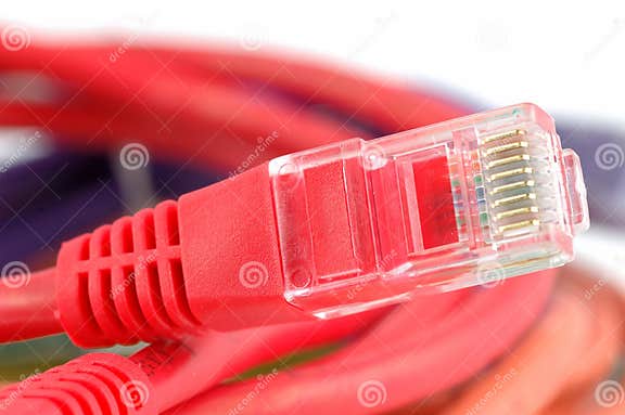 Network cable plug stock photo. Image of communication - 3361230