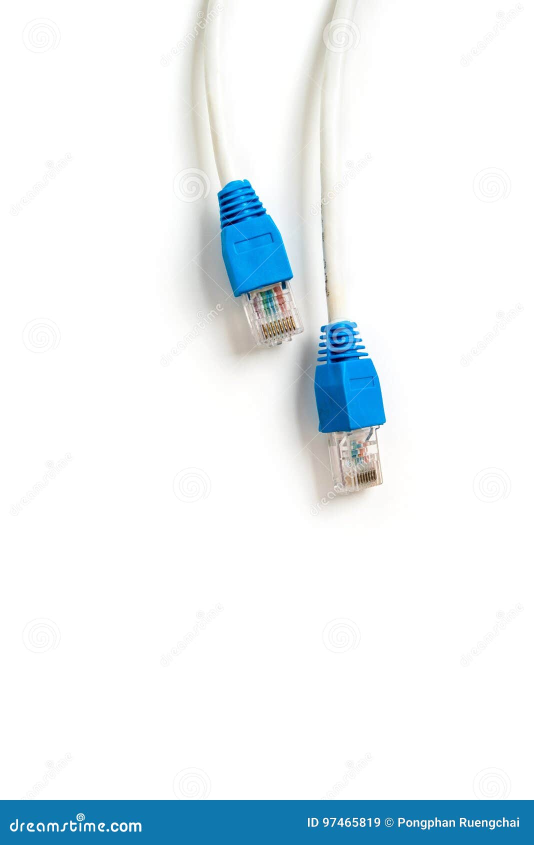Network Cable with RJ 45 Connector Stock Image - Image of link, cable ...