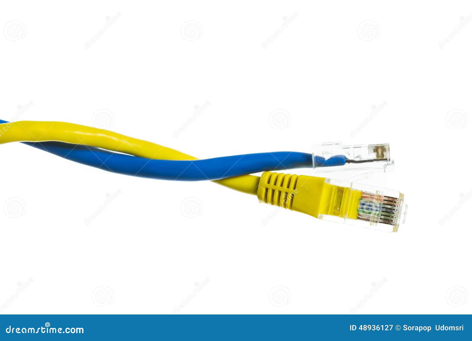 Network Cable with RJ45 Isolate Stock Image - Image of colorful ...