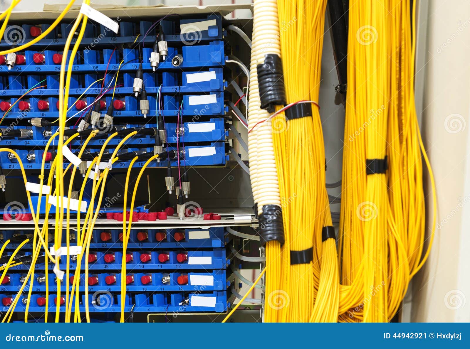 Network cable stock image. Image of router, wired, ethernet - 44942921