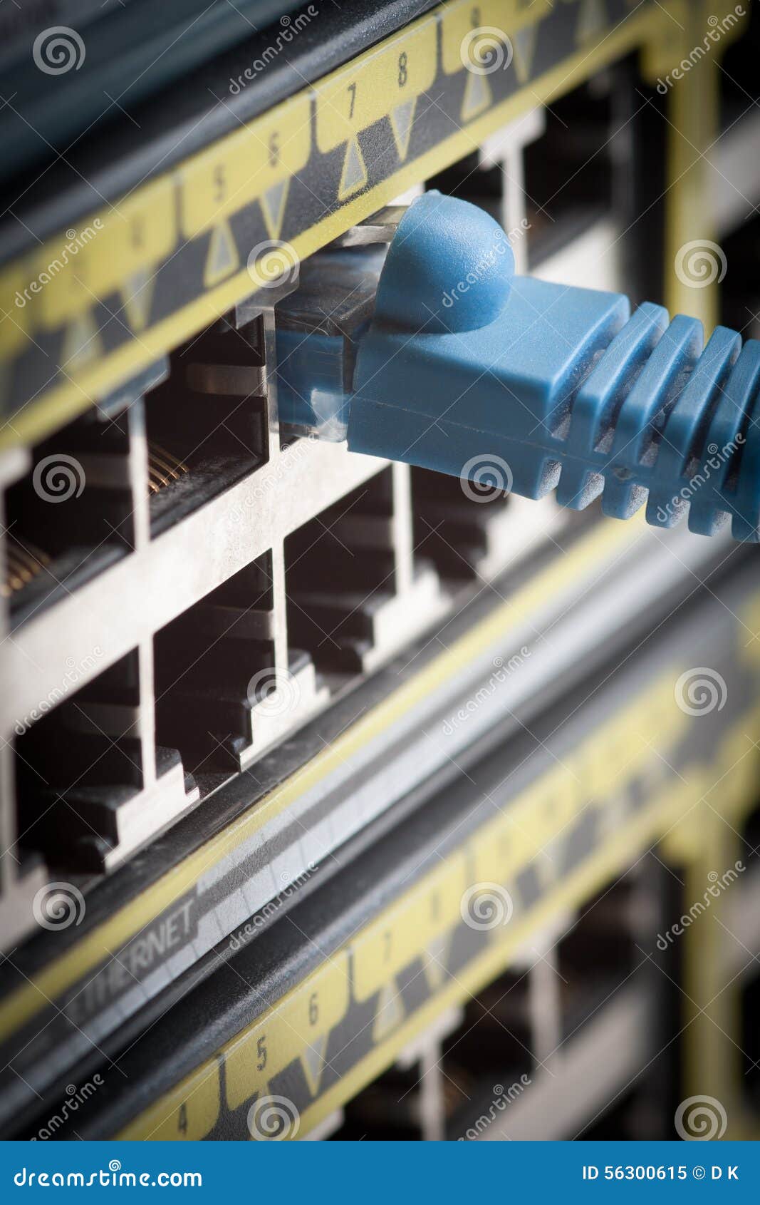 Network Cable and Switch stock image. Image of cable - 56300615