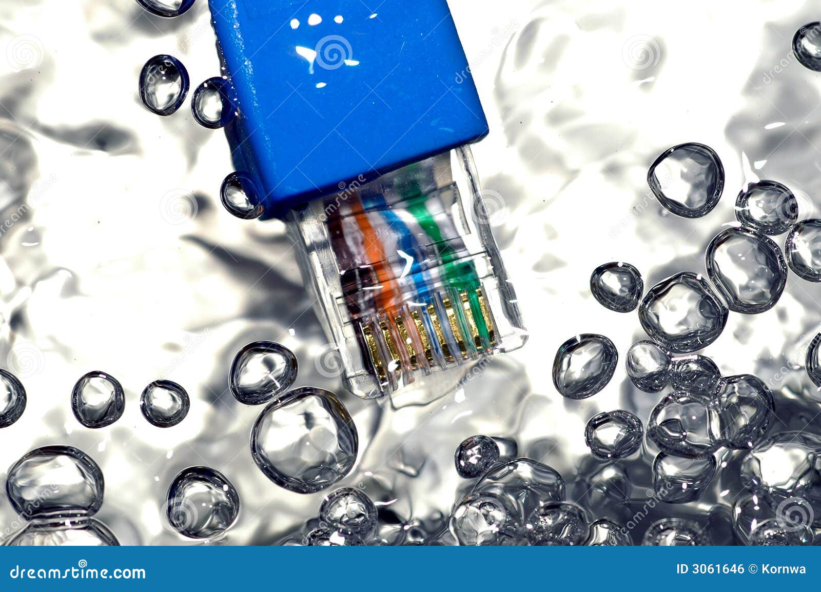 Network cable in the water stock photo. Image of closeups - 3061646