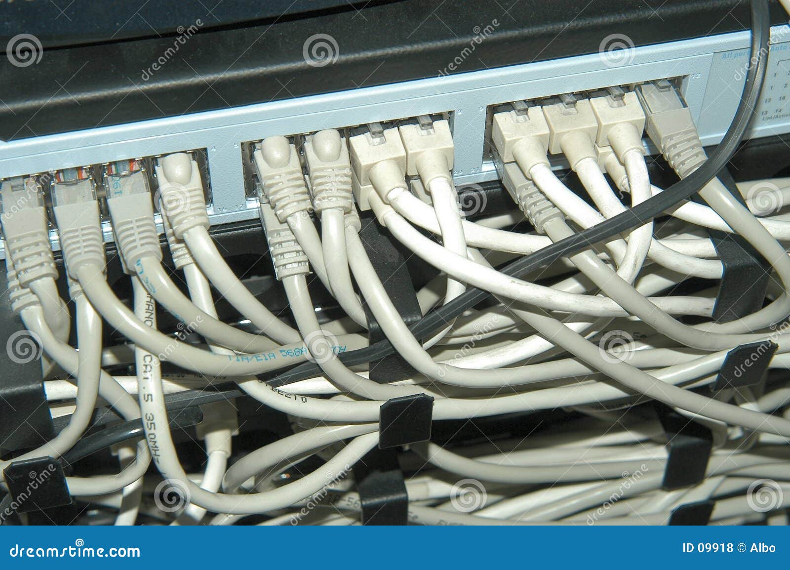 Network cables stock photo. Image of windows, plug, cables - 9918