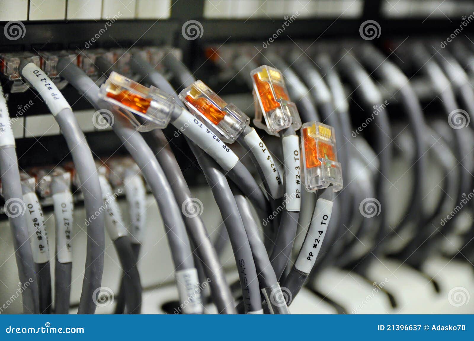Network cables stock image. Image of equipment, network - 21396637
