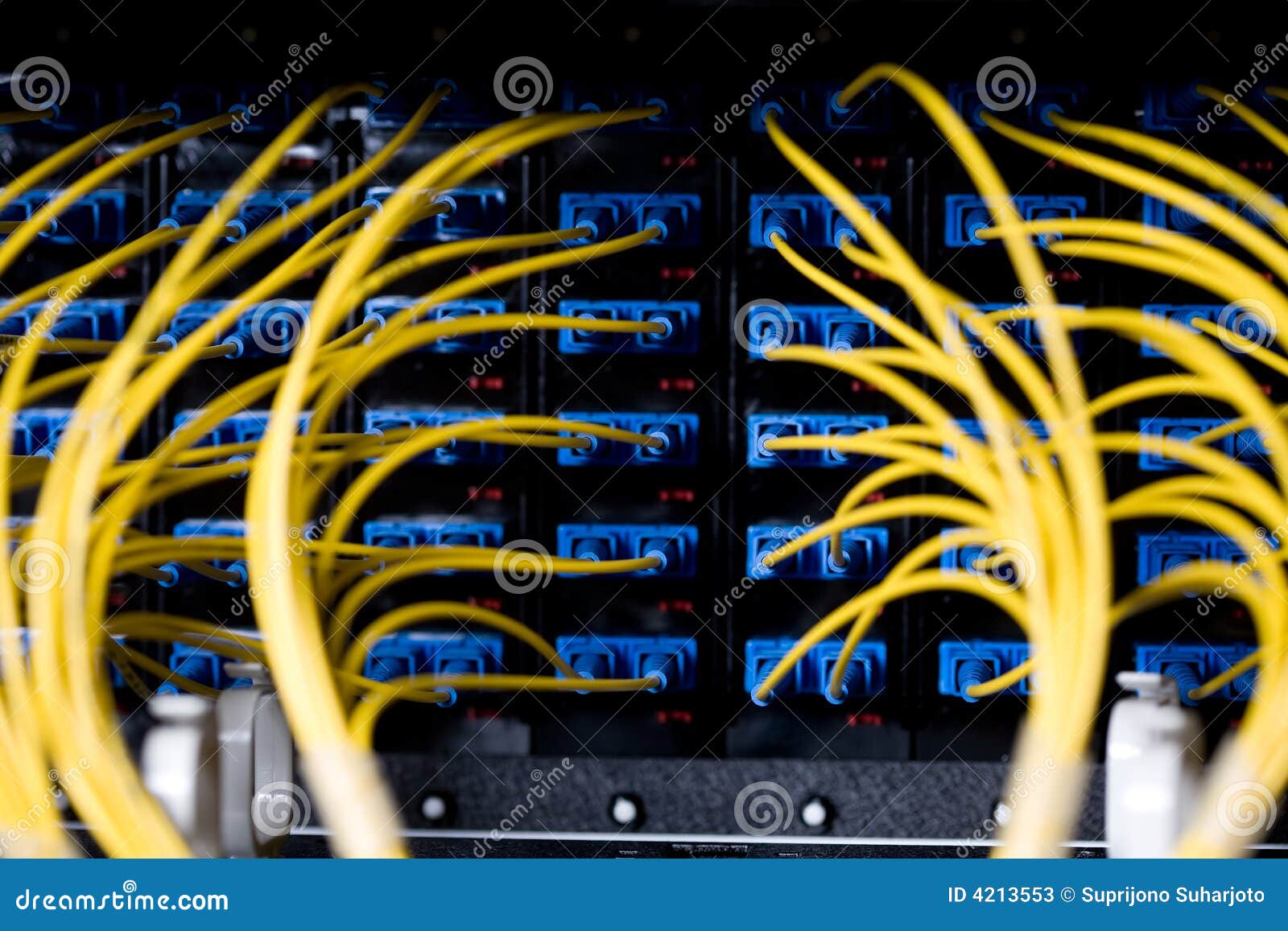 Network cables stock image. Image of data, service, network - 4213553