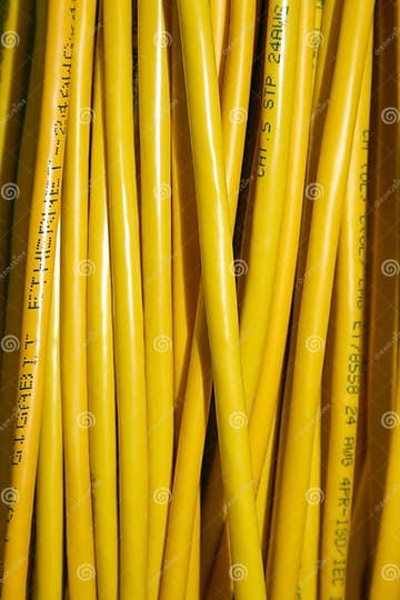 Network cables stock photo. Image of string, internet - 4719596