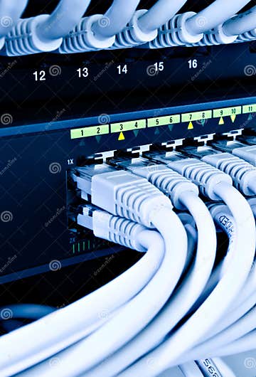 Network cables stock image. Image of data, cords, communication - 5664275