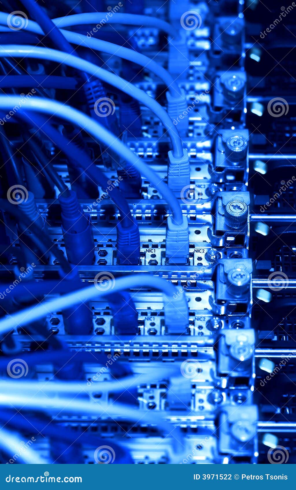 Network cables (blue tone) stock photo. Image of cable - 3971522