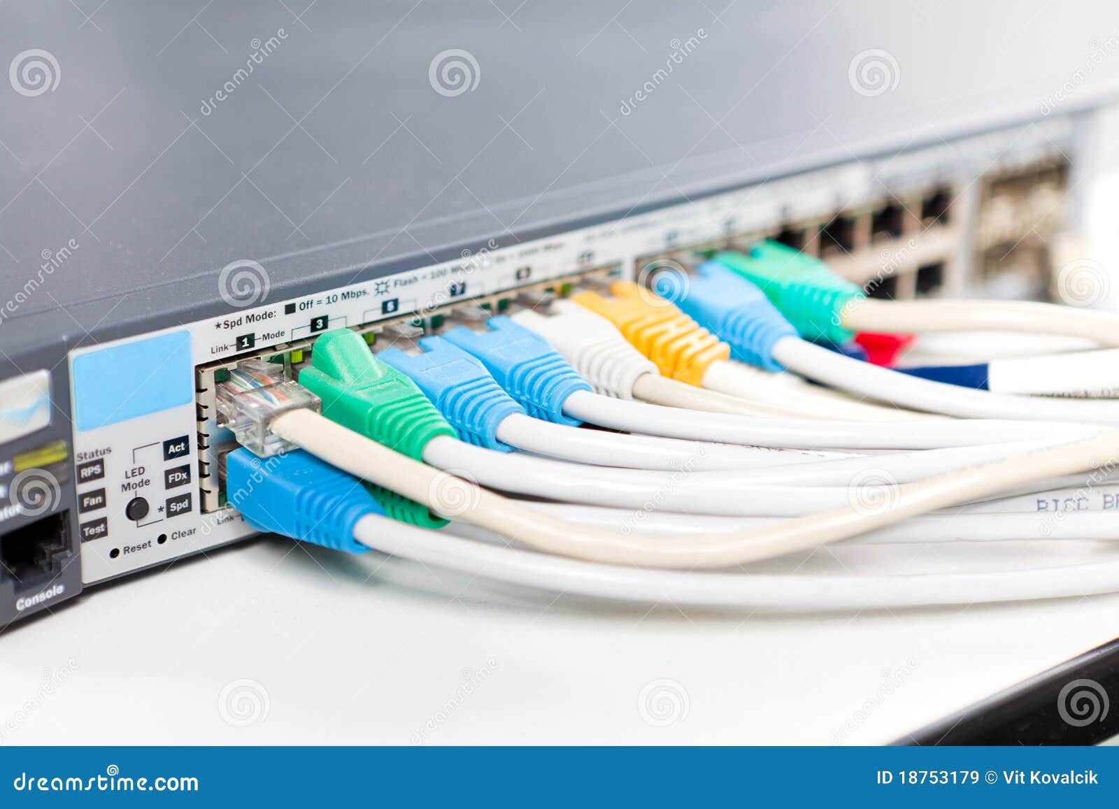 Network Cables Connected into Stock Image - Image of equipment, digital ...