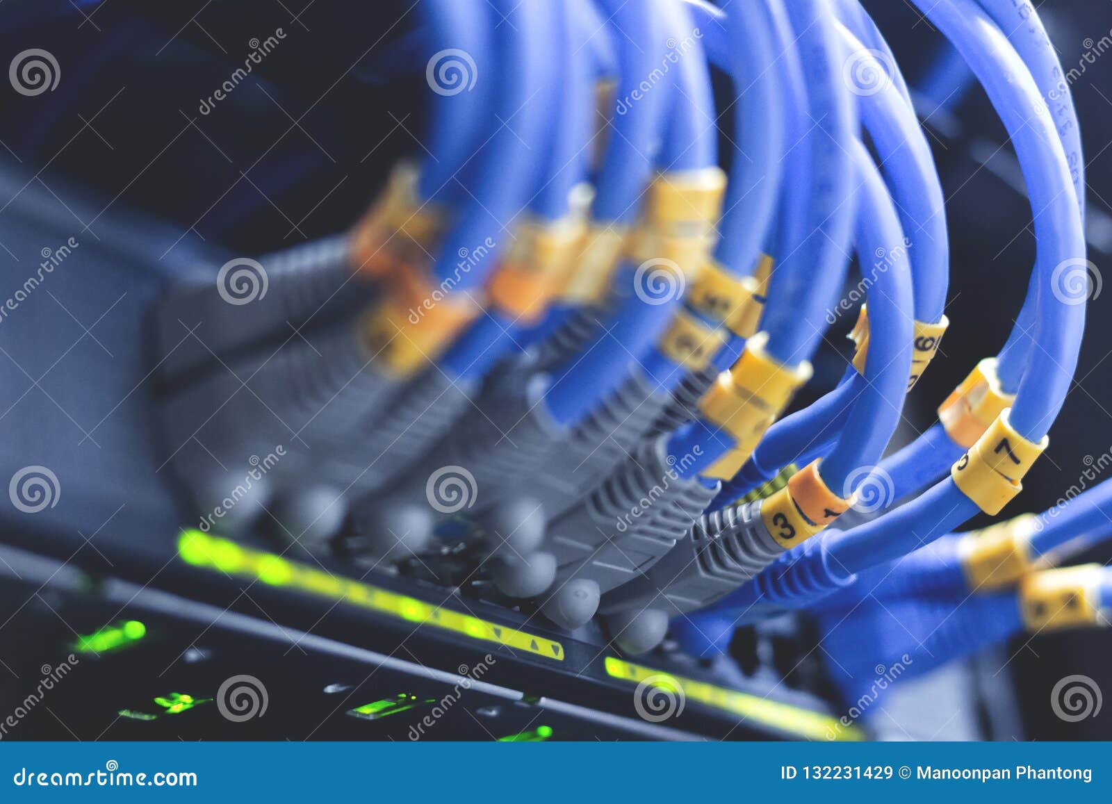 Network Cables Connected in Network Switches - Data Center Concept ...