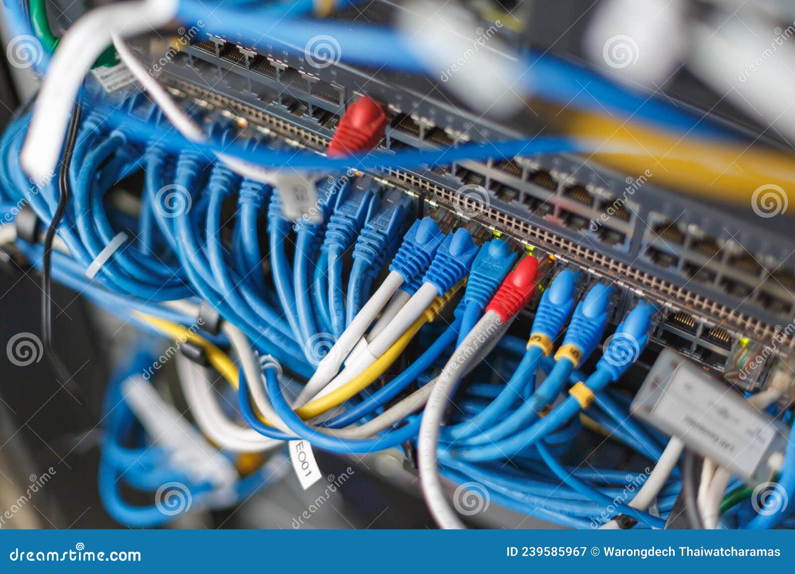 Network Cables Connected in Network Switches Hub Stock Image - Image of ...