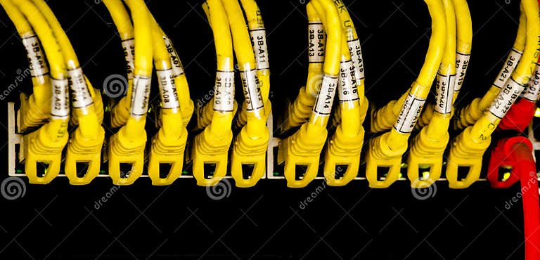 Ethernet Cables in Rack Cabinet,UTP Cables from a Patch Panel in the ...