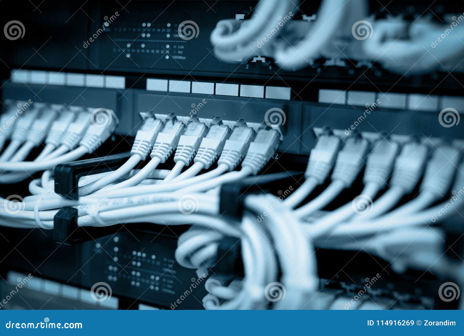 Network Cables Connected in Network Switches Stock Image - Image of ...